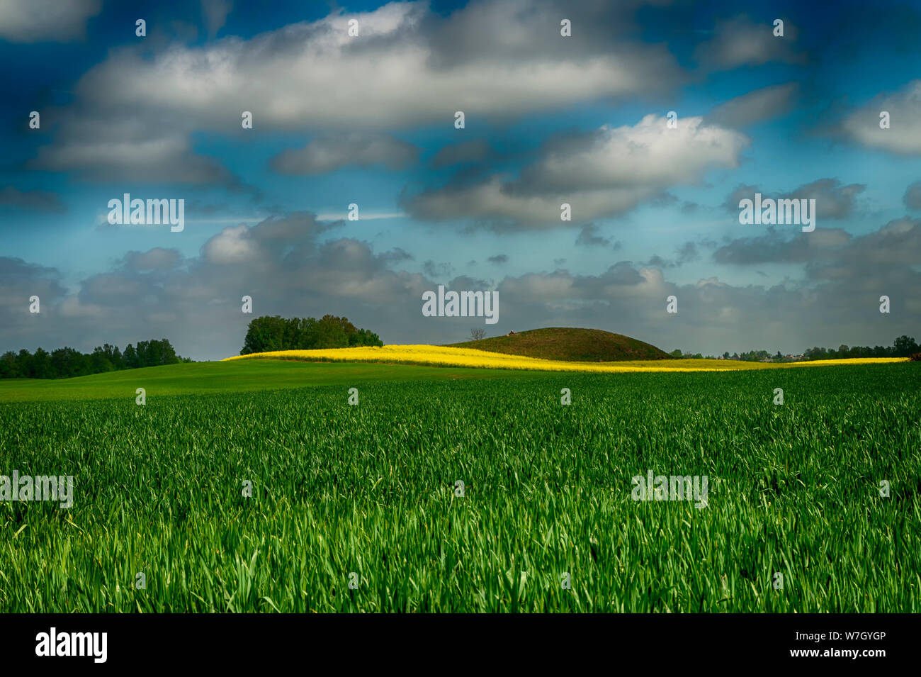 Agricultural landscape with rolling hills, ploughed farm field, meadow ...