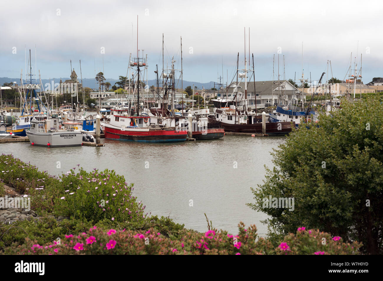 Boats at dock, Northern California Stock Photo - Alamy