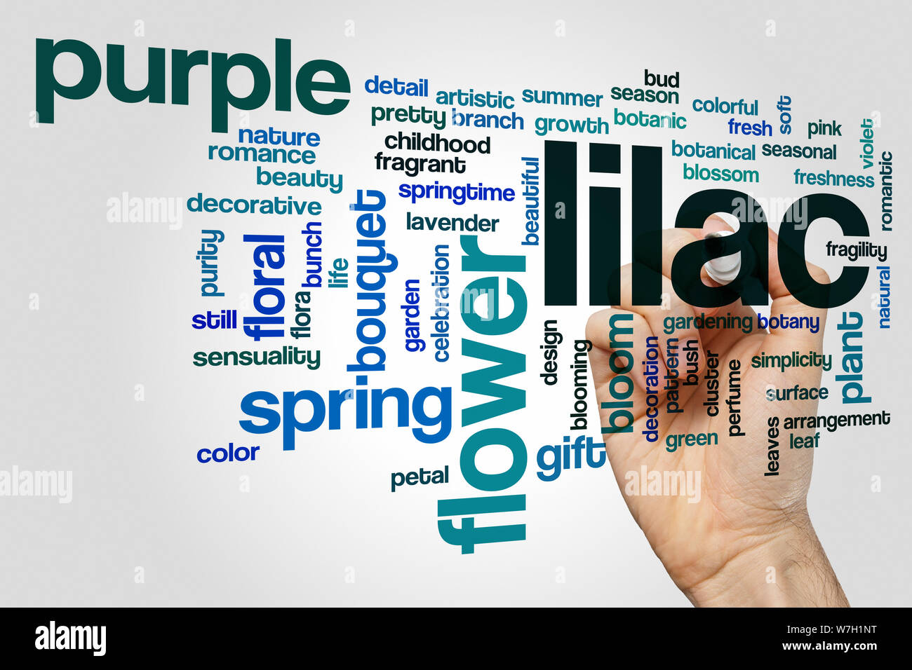 Lilac word cloud Stock Photo - Alamy