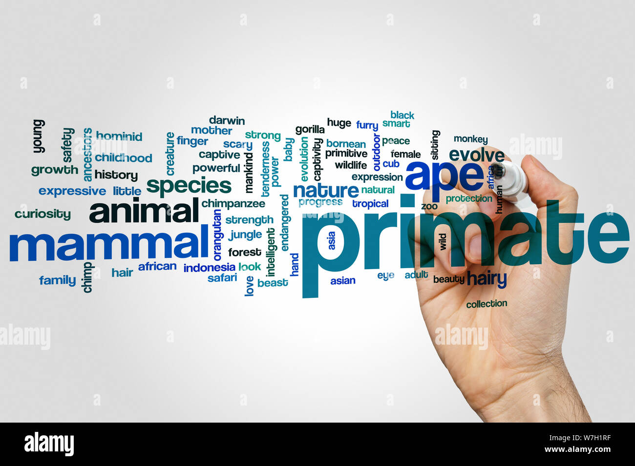 Monkey fur word hi-res stock photography and images - Alamy