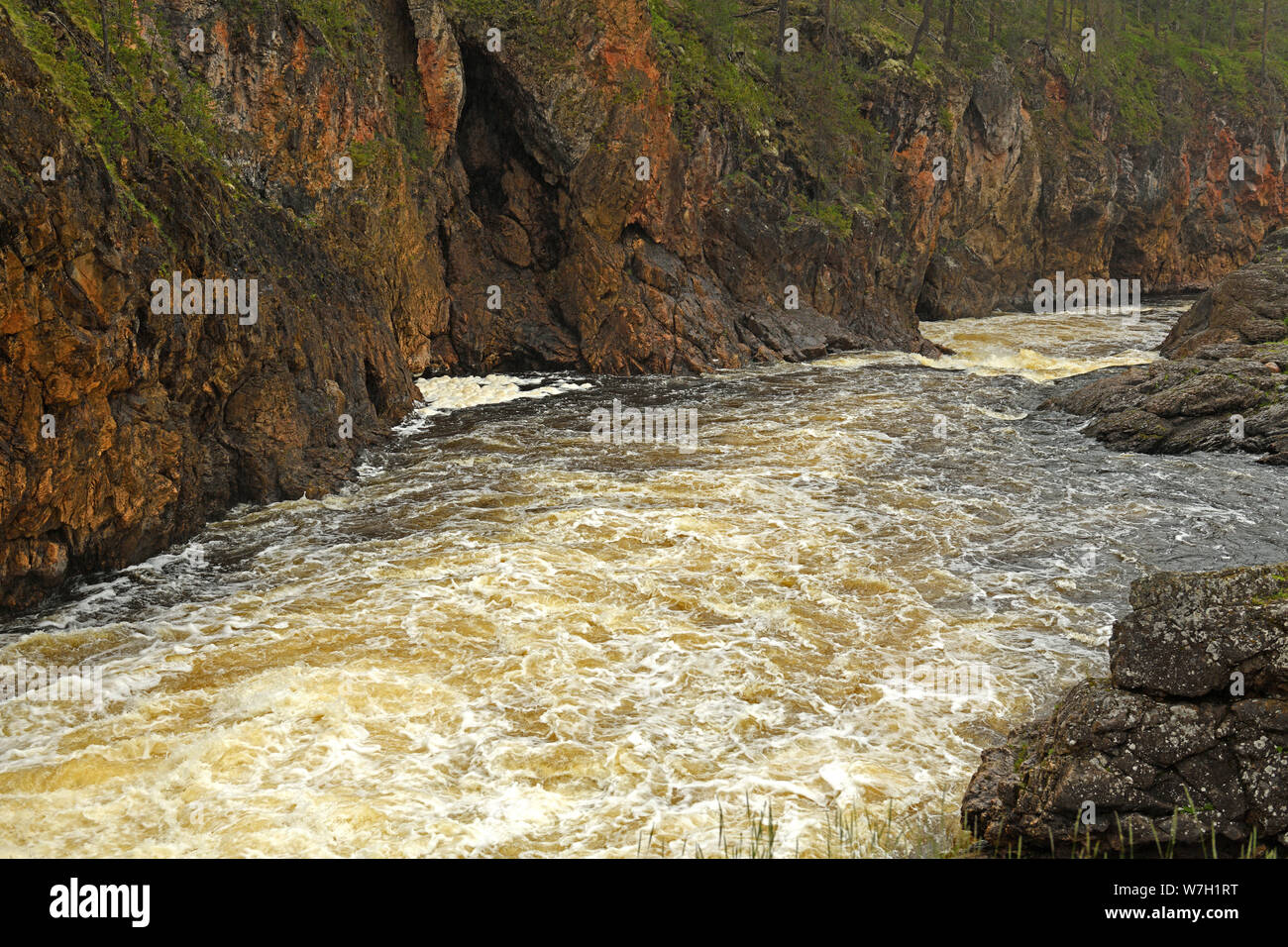 Red canyon wildlife habitat hi-res stock photography and images - Alamy