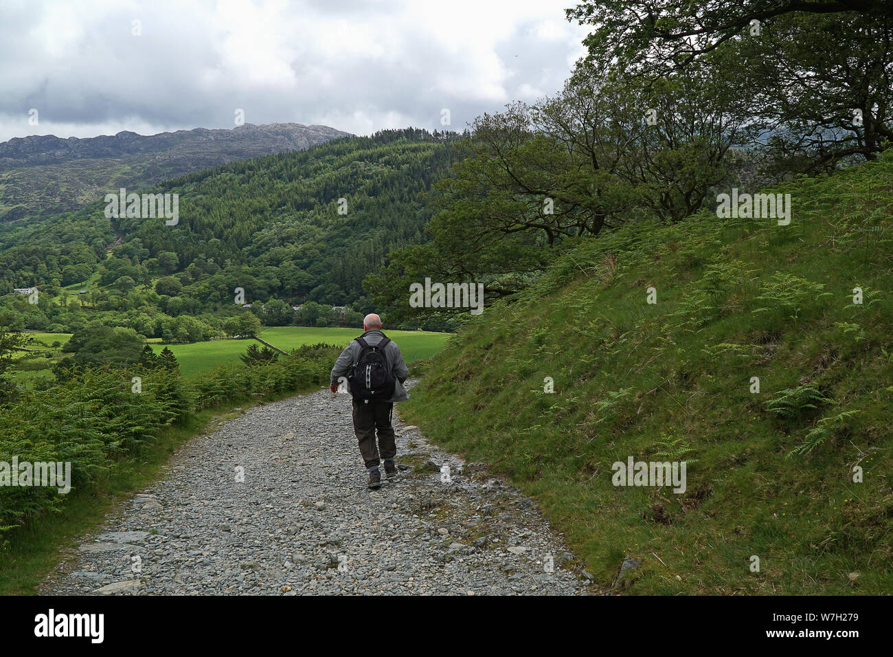 A man walking down Watkins Path from the peak of Mount Snowdon in ...