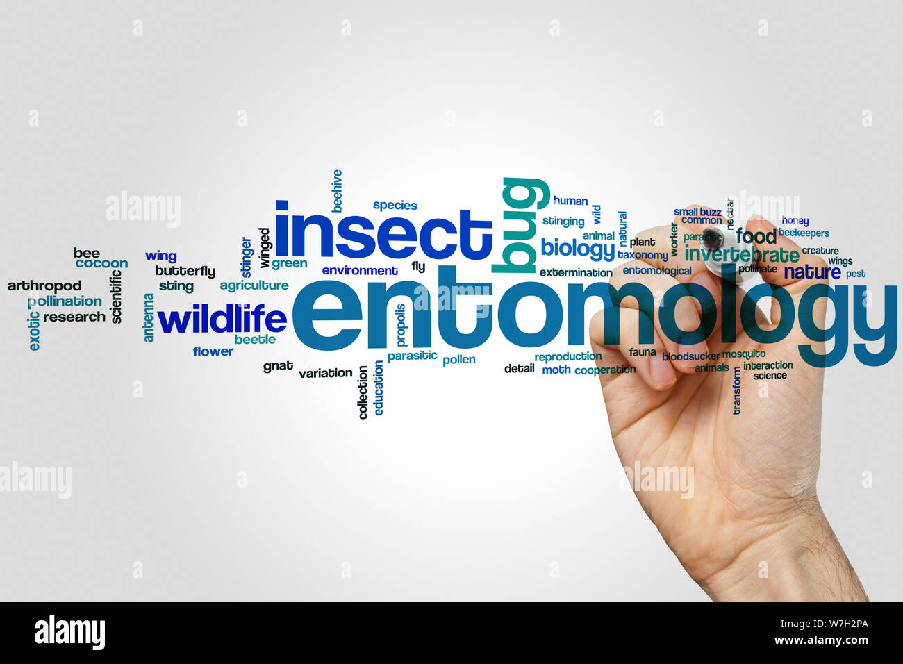 Entomology word cloud concept Stock Photo - Alamy