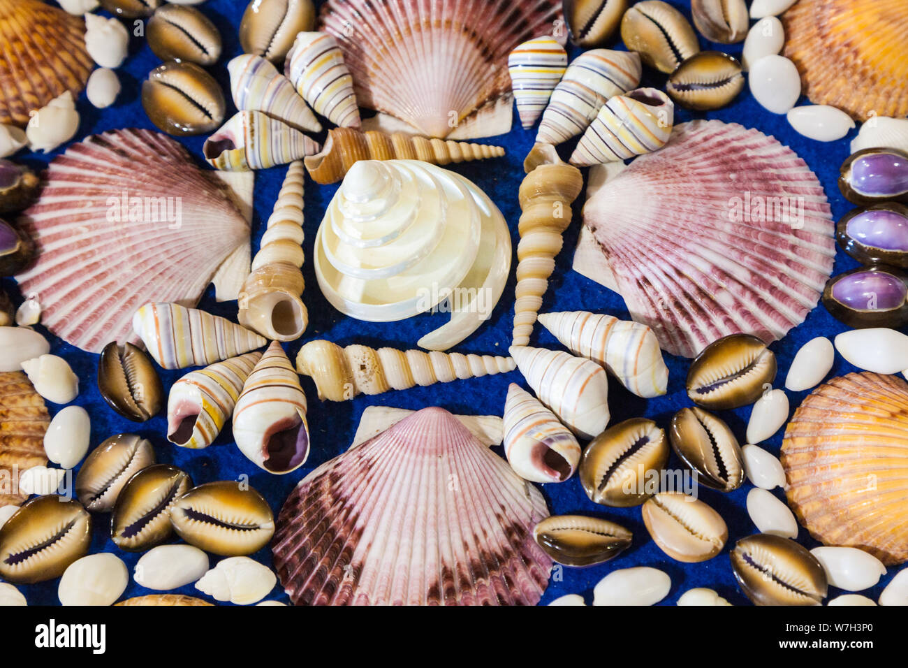 Spiral arrangement hi-res stock photography and images - Alamy