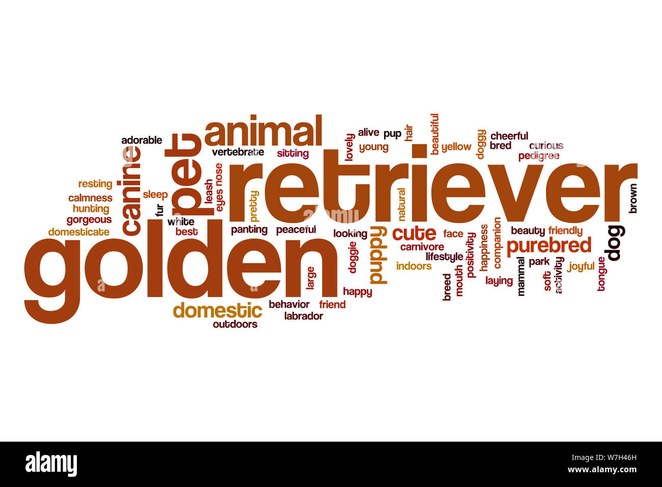 Golden brown eyes Cut Out Stock Images & Pictures - Alamy