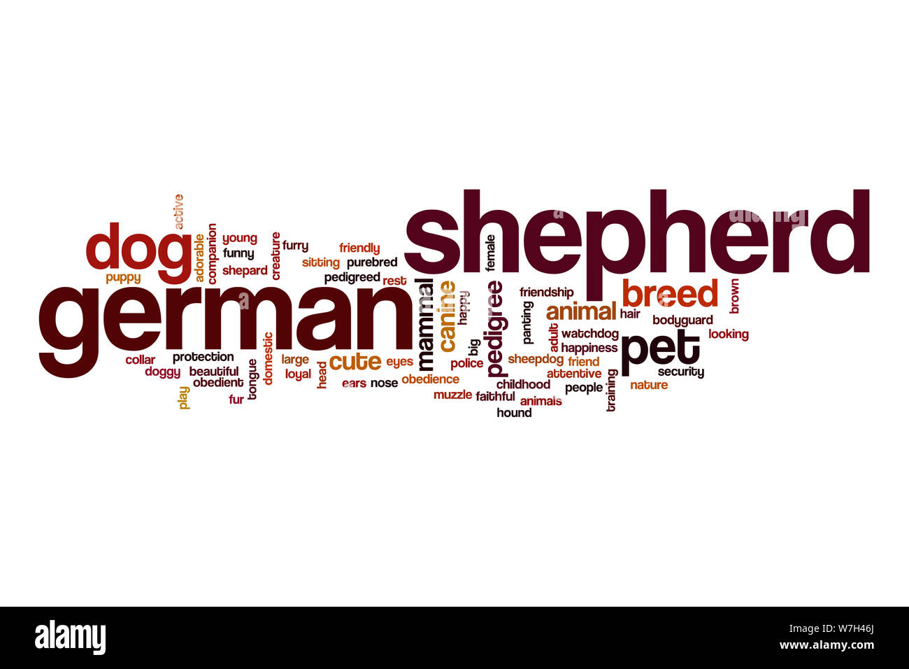 German shepherd word cloud Stock Photo - Alamy