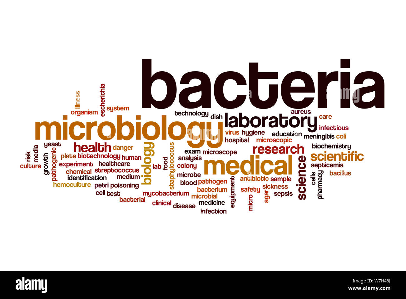 Bacteria word cloud Stock Photo - Alamy