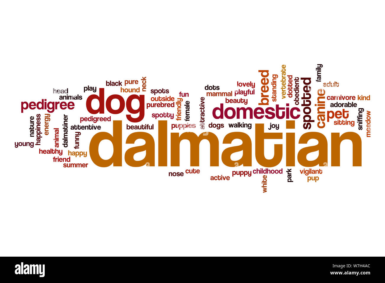 Dalmatian word cloud Stock Photo - Alamy