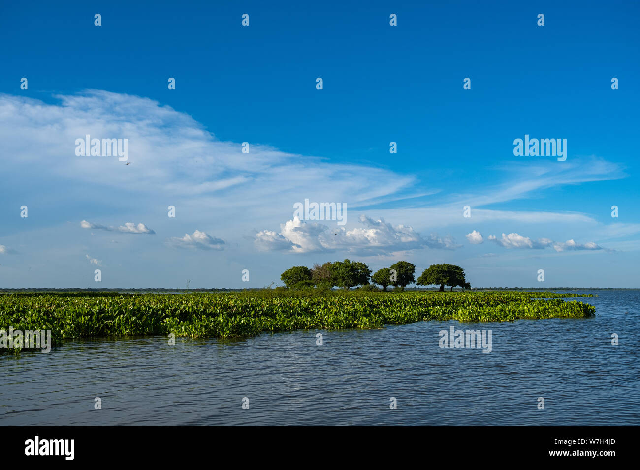 Cienaga colombia hi-res stock photography and images - Alamy