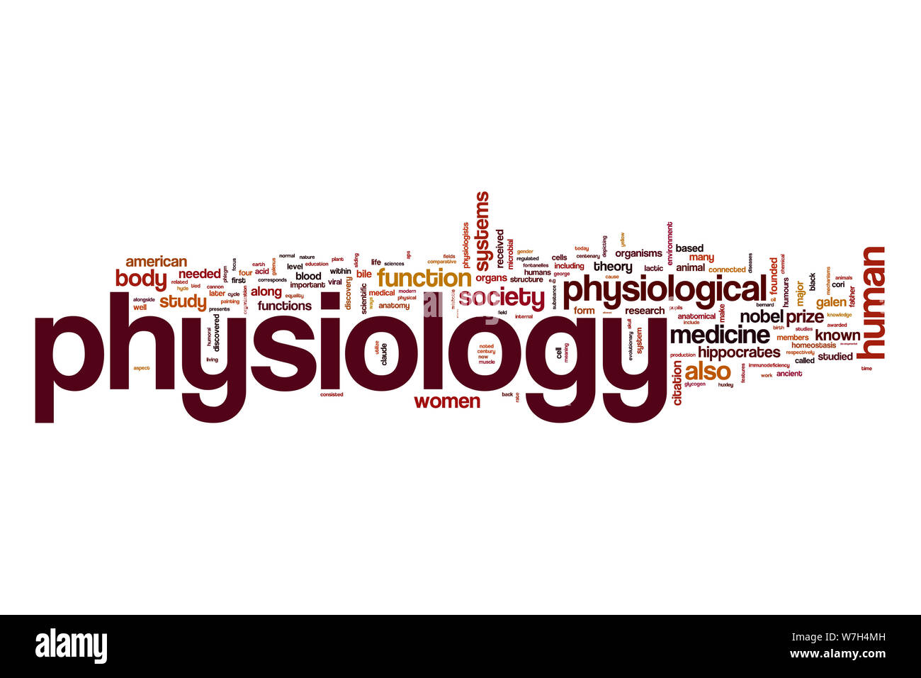 Hospital Physiology Therapy High Resolution Stock Photography and ...