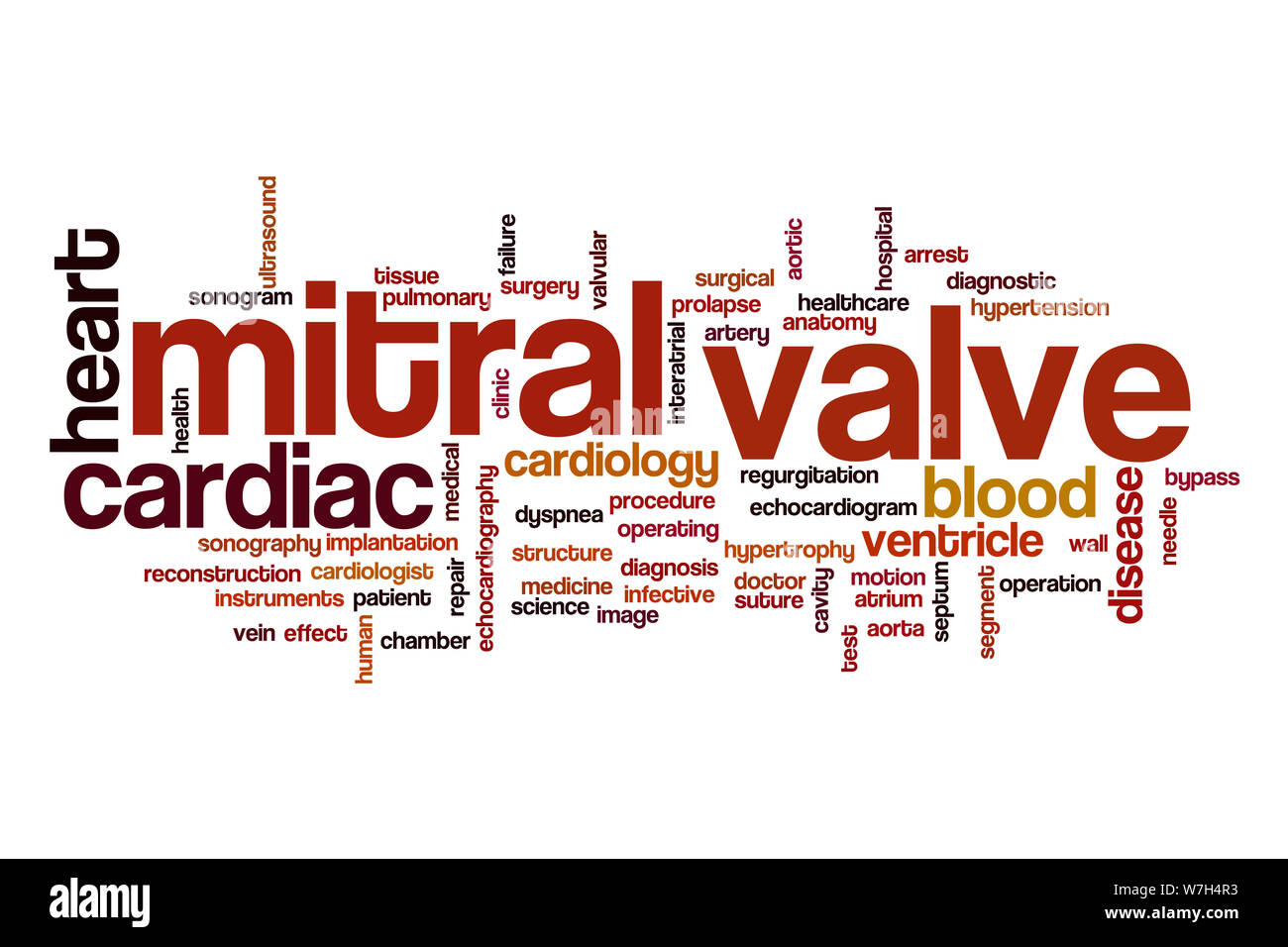 Mitral valve word cloud Stock Photo - Alamy