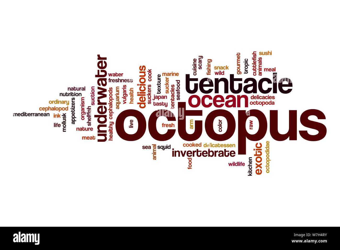 Octopus word cloud Stock Photo - Alamy