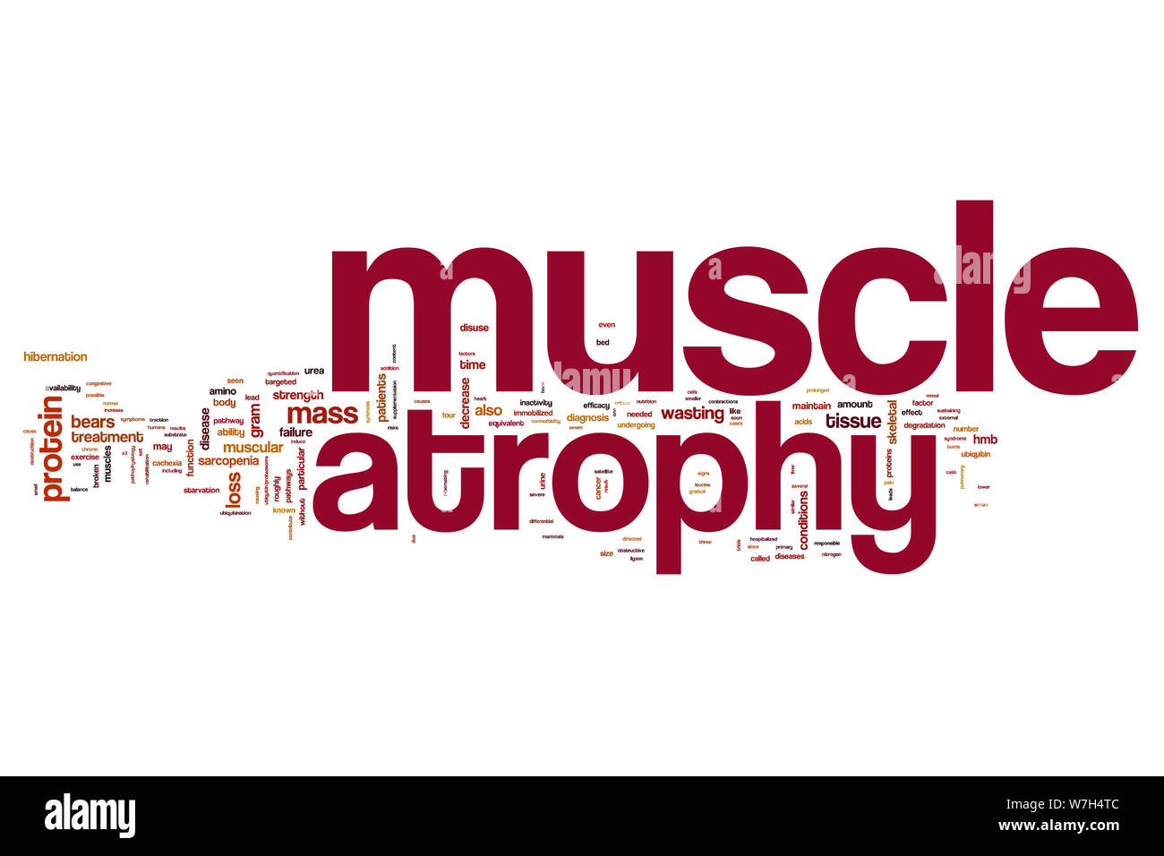 Muscular atrophy hi-res stock photography and images - Alamy