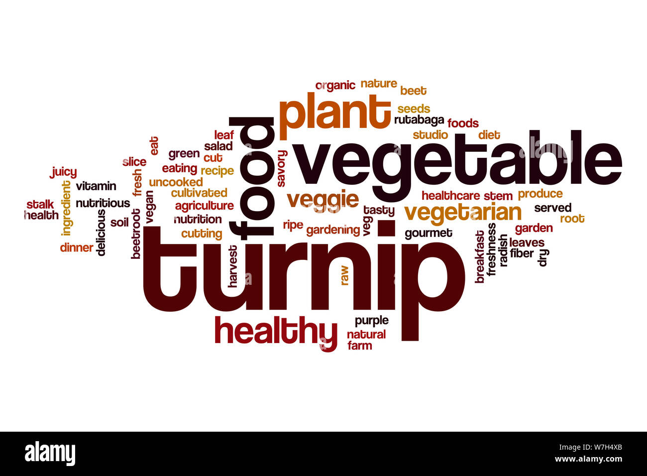 Turnip word cloud Stock Photo - Alamy