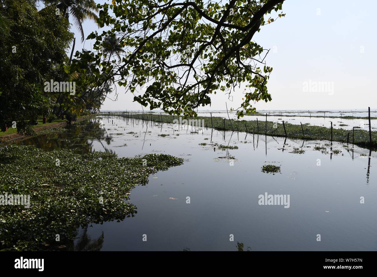 View towards lake at Coconut Lagoon resort. Kottayam - Kumarakom Rd ...