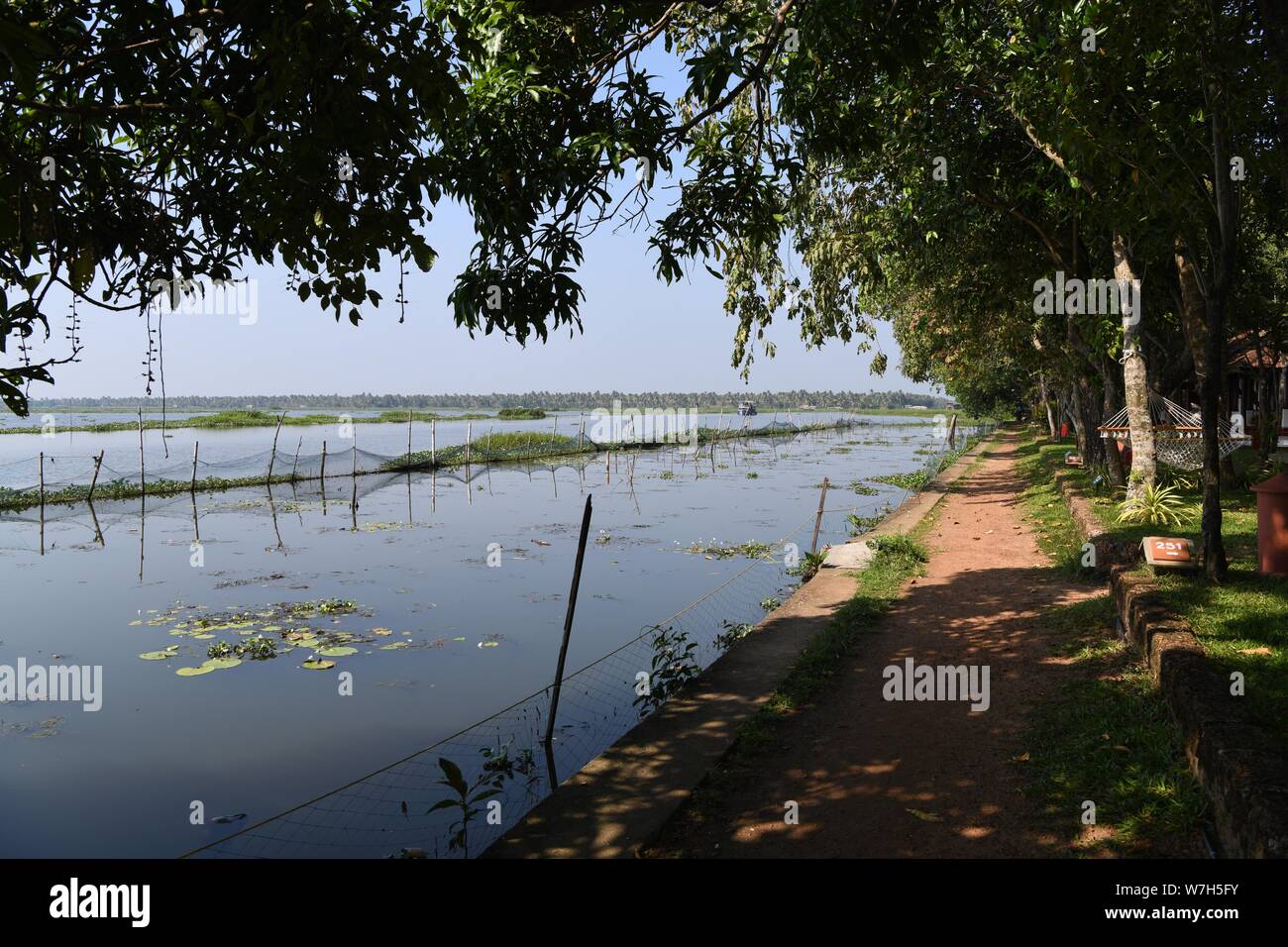 View towards lake at Coconut Lagoon resort. Kottayam - Kumarakom Rd ...
