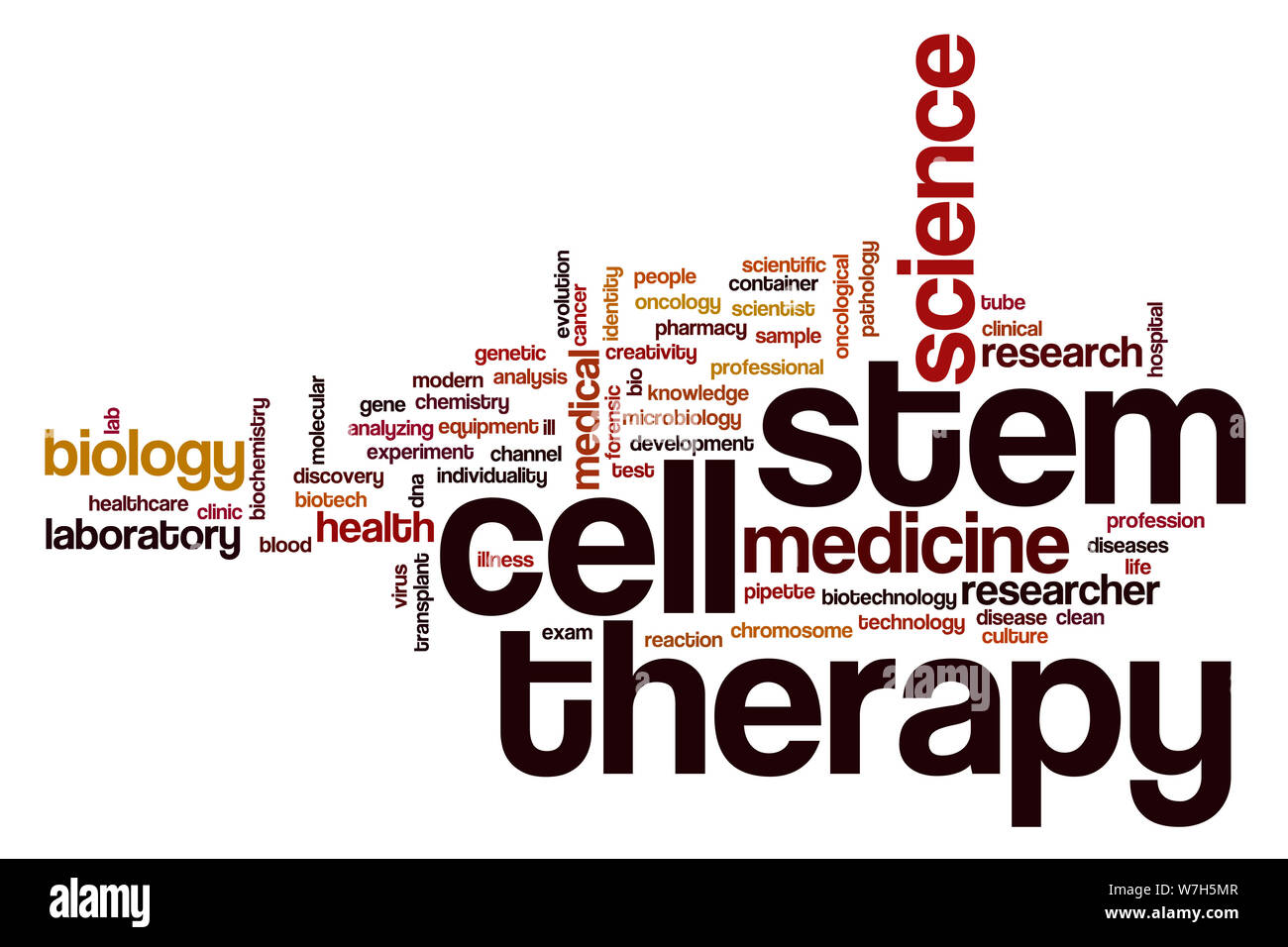 Stem cell therapy word cloud concept Stock Photo - Alamy