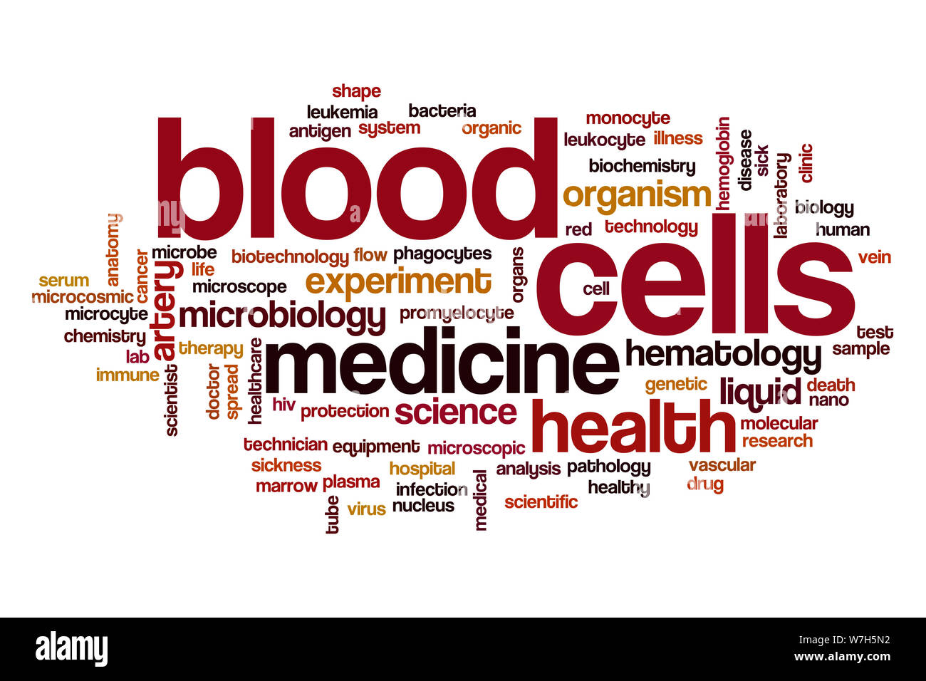 Blood cells word cloud concept Stock Photo - Alamy
