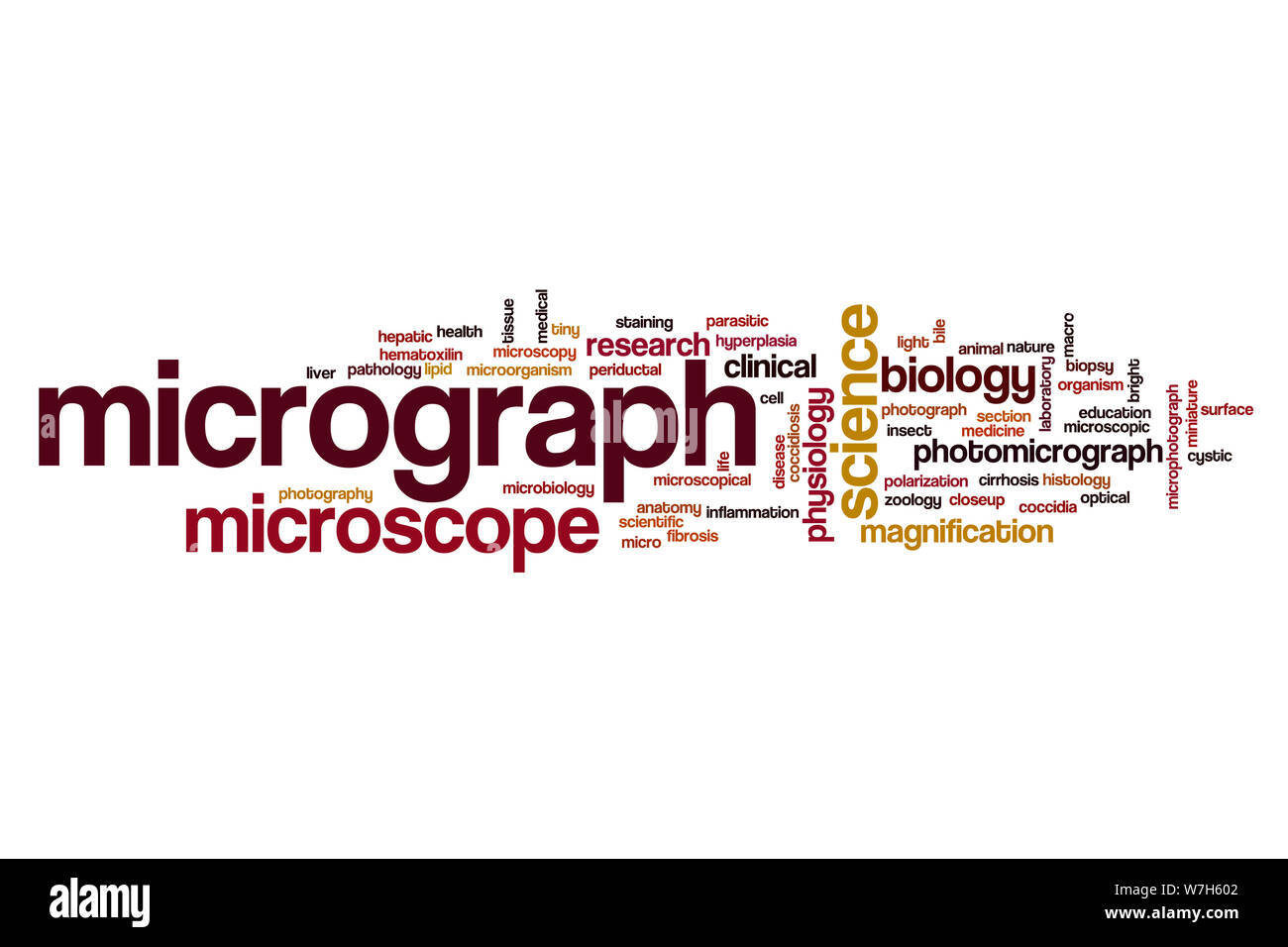 Microscope word cloud concept science hi-res stock photography and ...