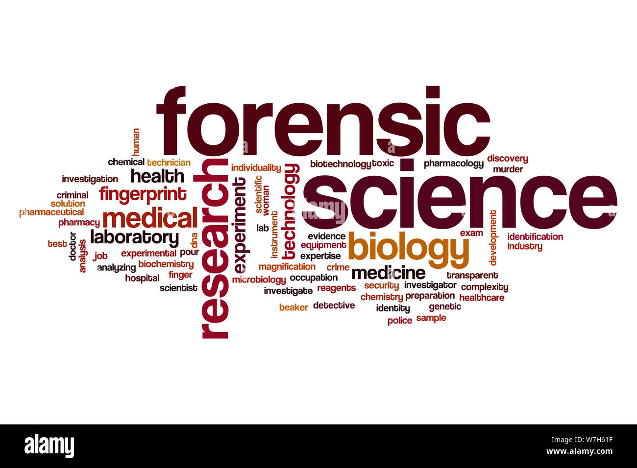 Forensic Words
