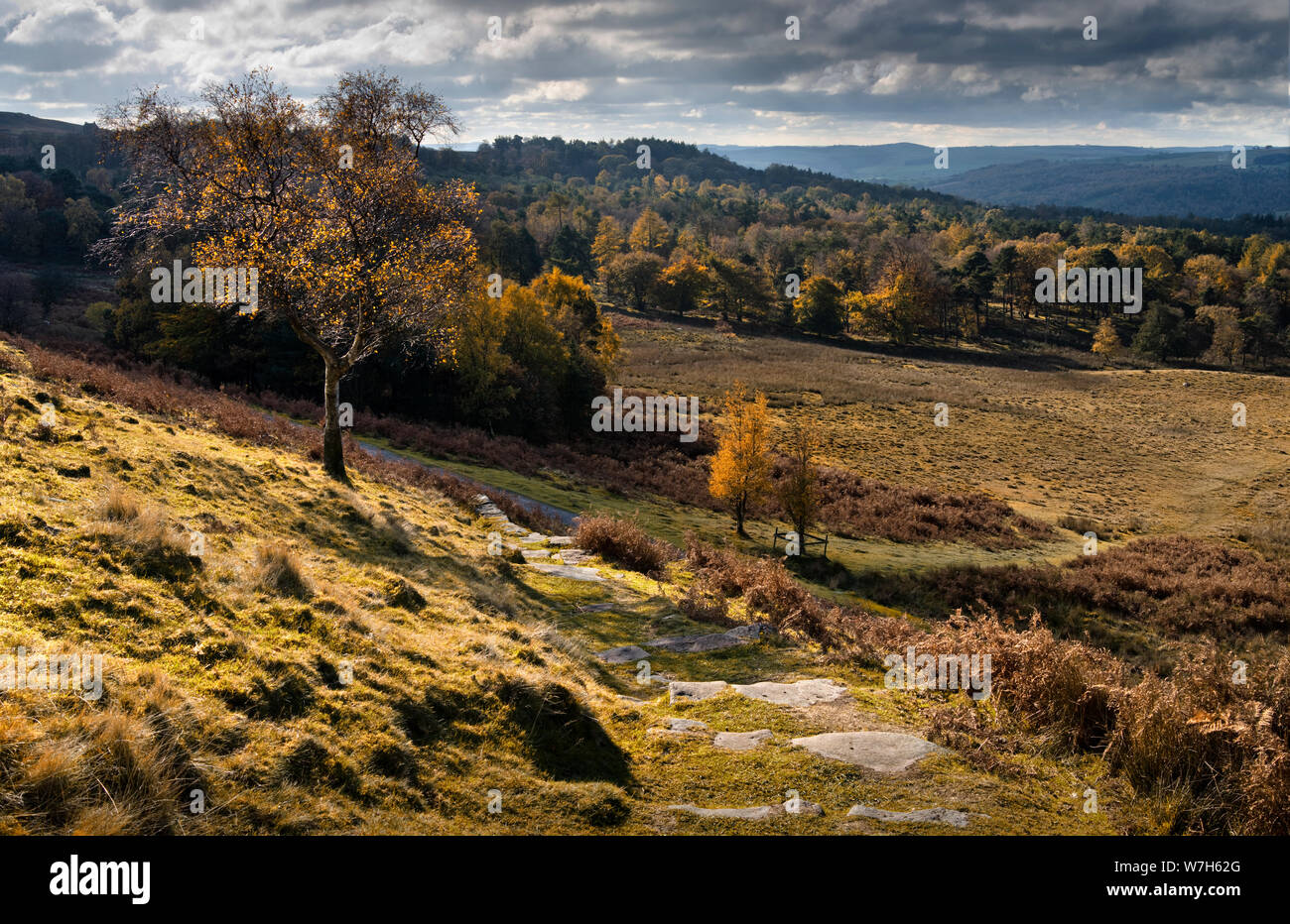 Longshaw Estate, the Peak District, England (4 Stock Photo - Alamy