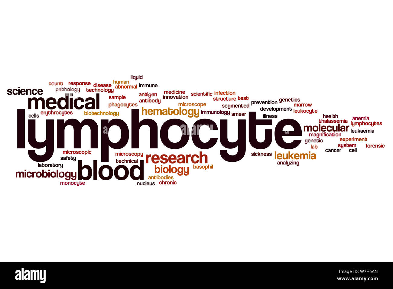 Human lymphocyte microscope hi-res stock photography and images - Alamy
