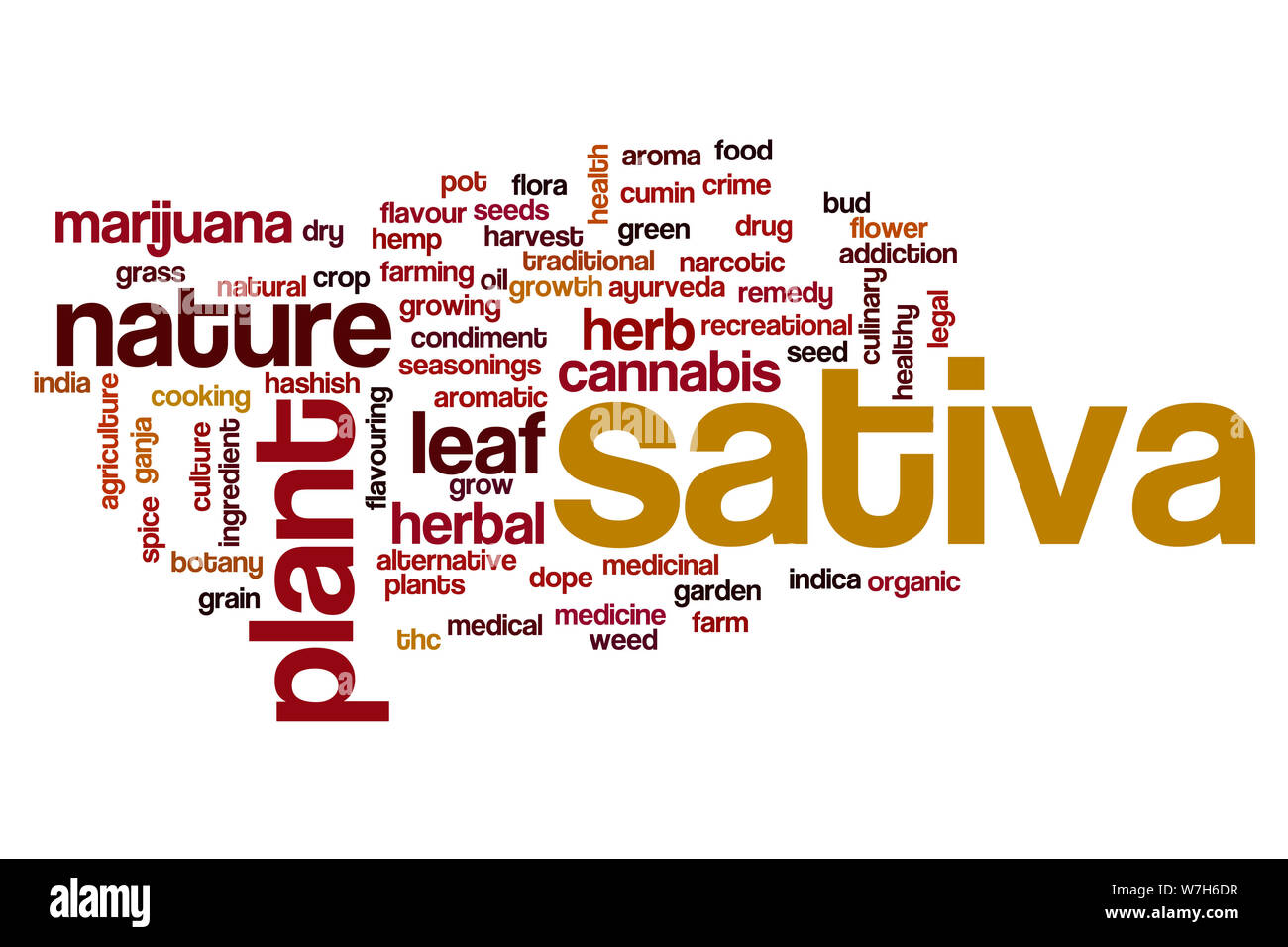 Sativa word cloud concept Stock Photo - Alamy