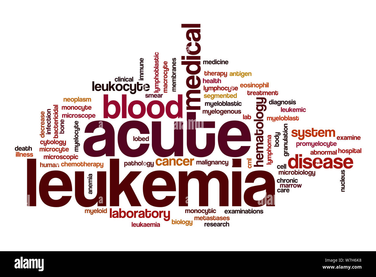 Cml Cut Out Stock Images & Pictures - Alamy