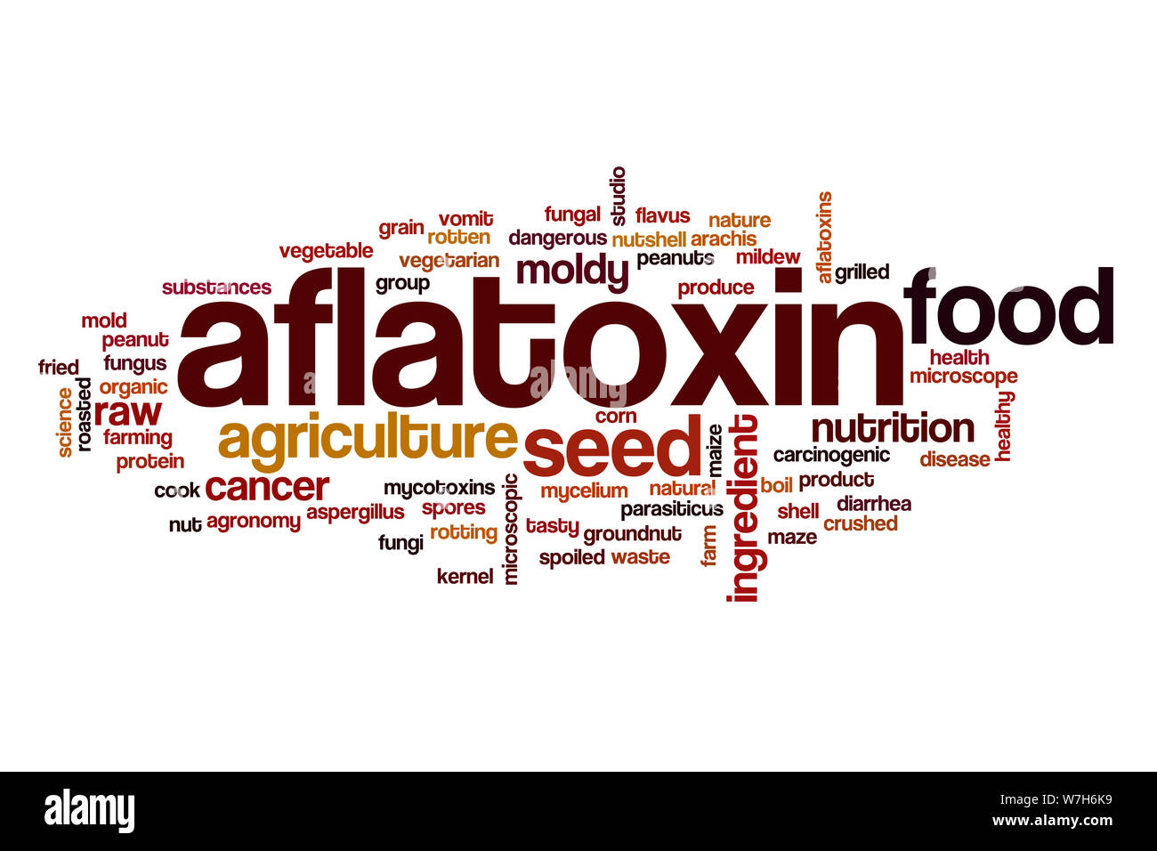 Aflatoxin word cloud concept Stock Photo - Alamy