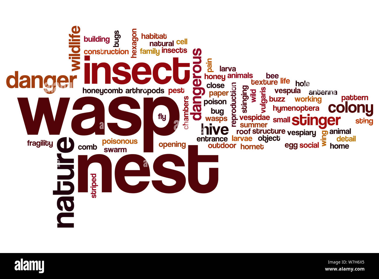 Wasp nest word cloud concept Stock Photo - Alamy