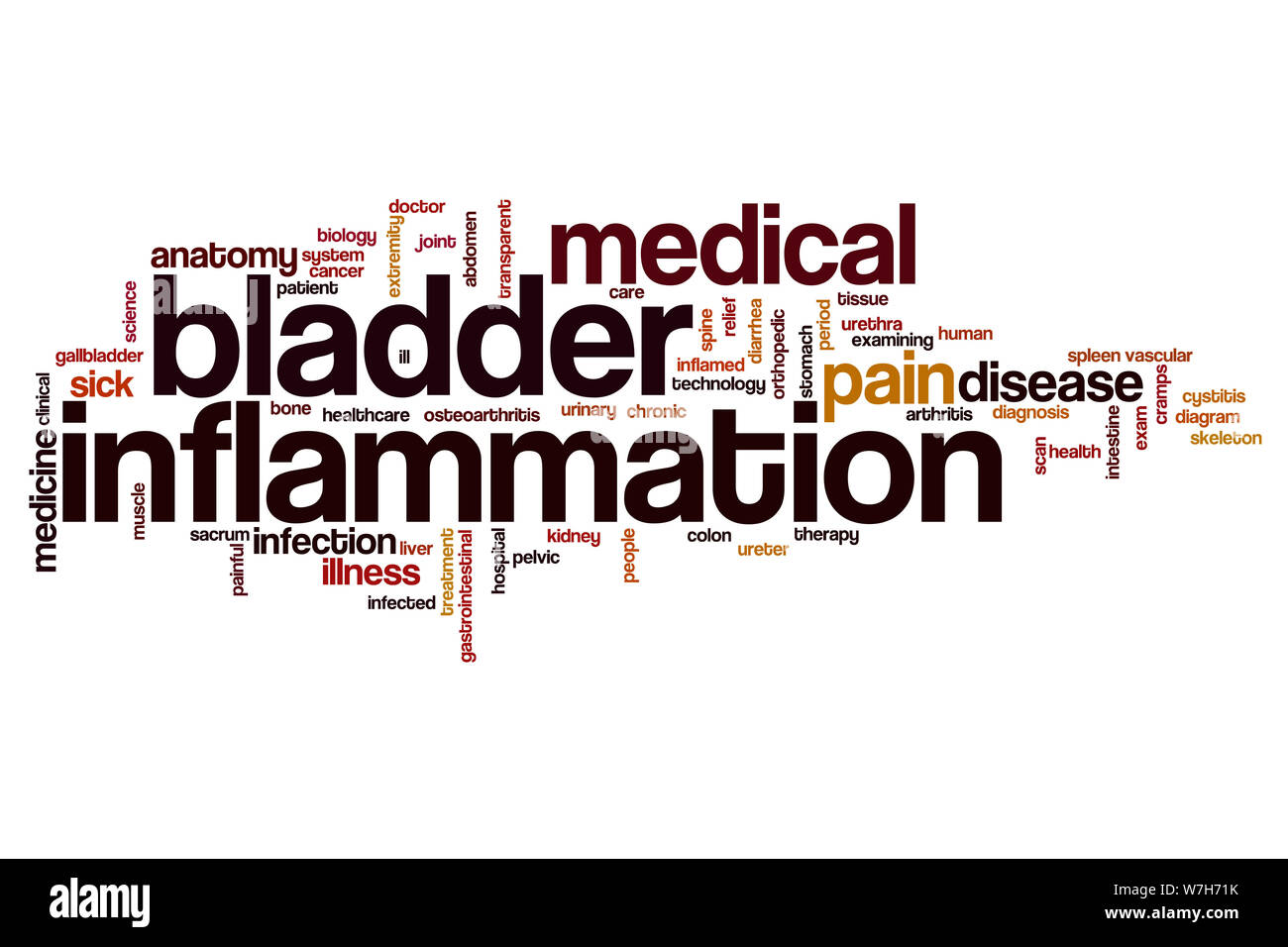 Bladder scan Cut Out Stock Images & Pictures - Alamy