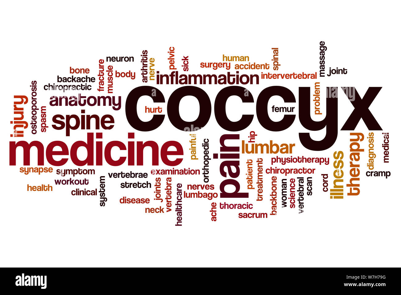 Coccyx hi-res stock photography and images - Alamy