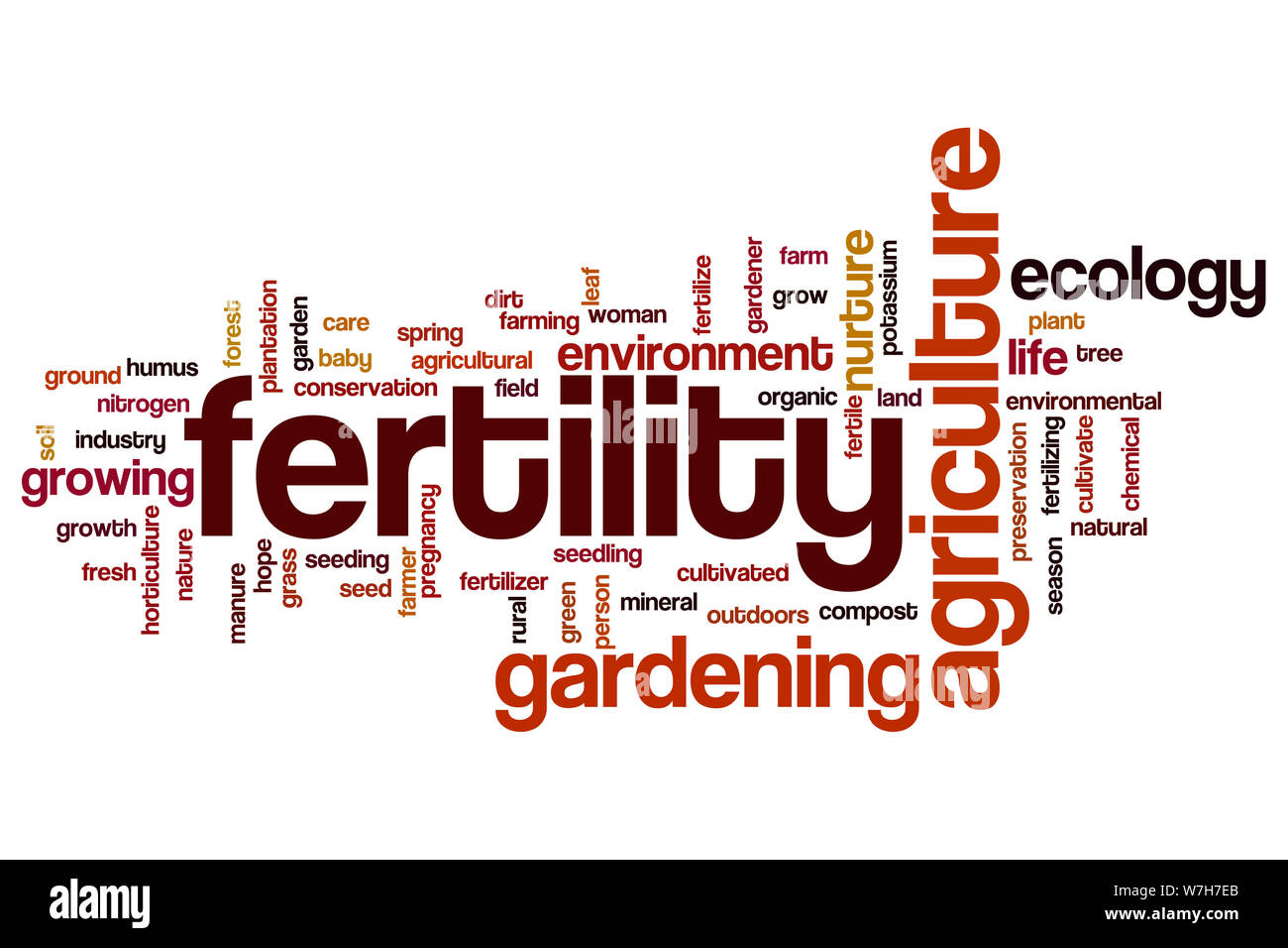 Fertility word cloud concept Stock Photo - Alamy