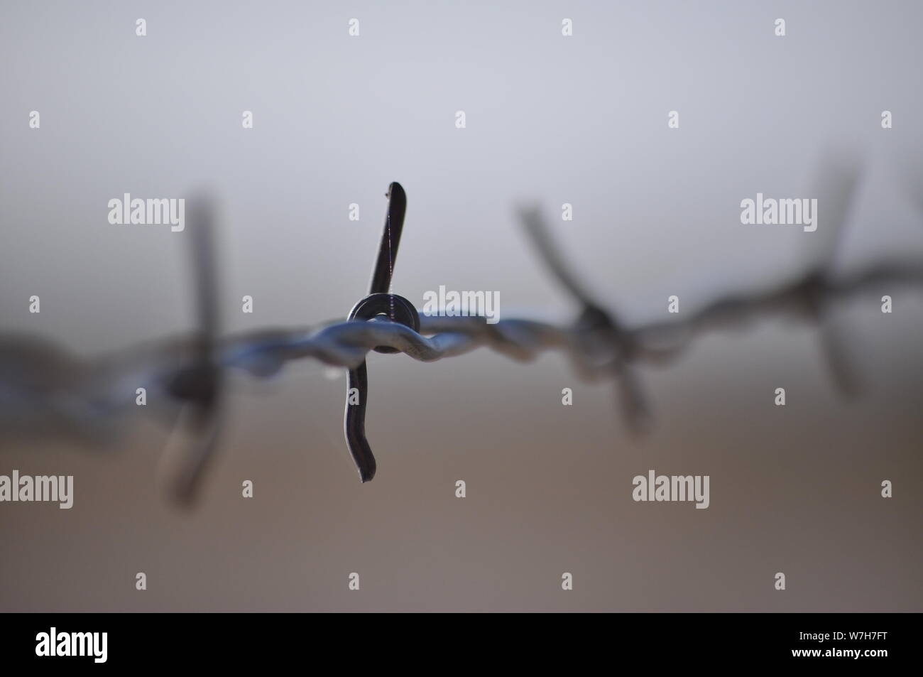 Us desert barbed wire hi-res stock photography and images - Alamy