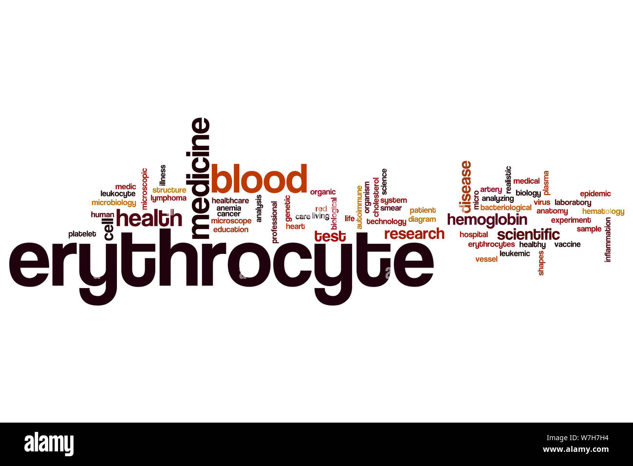 Erythrocyte leukocyte platelet hi-res stock photography and images - Alamy