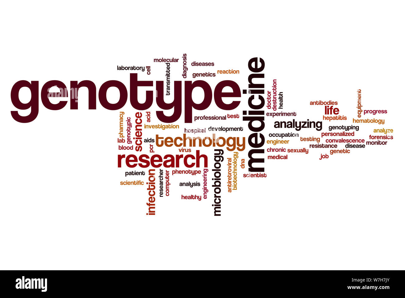 Genotype word cloud concept Stock Photo - Alamy