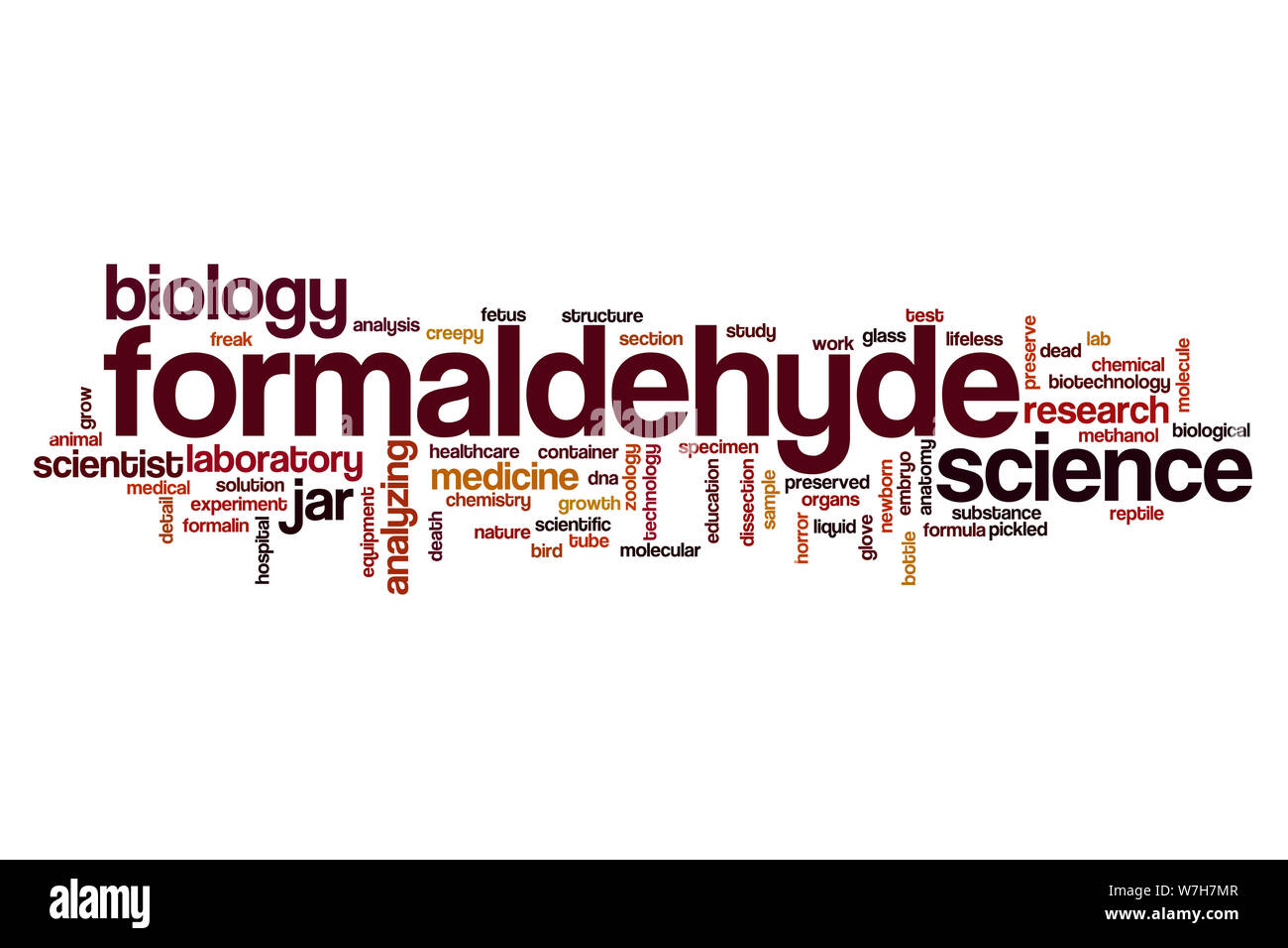 Specimen jar embryo Cut Out Stock Images & Pictures - Alamy