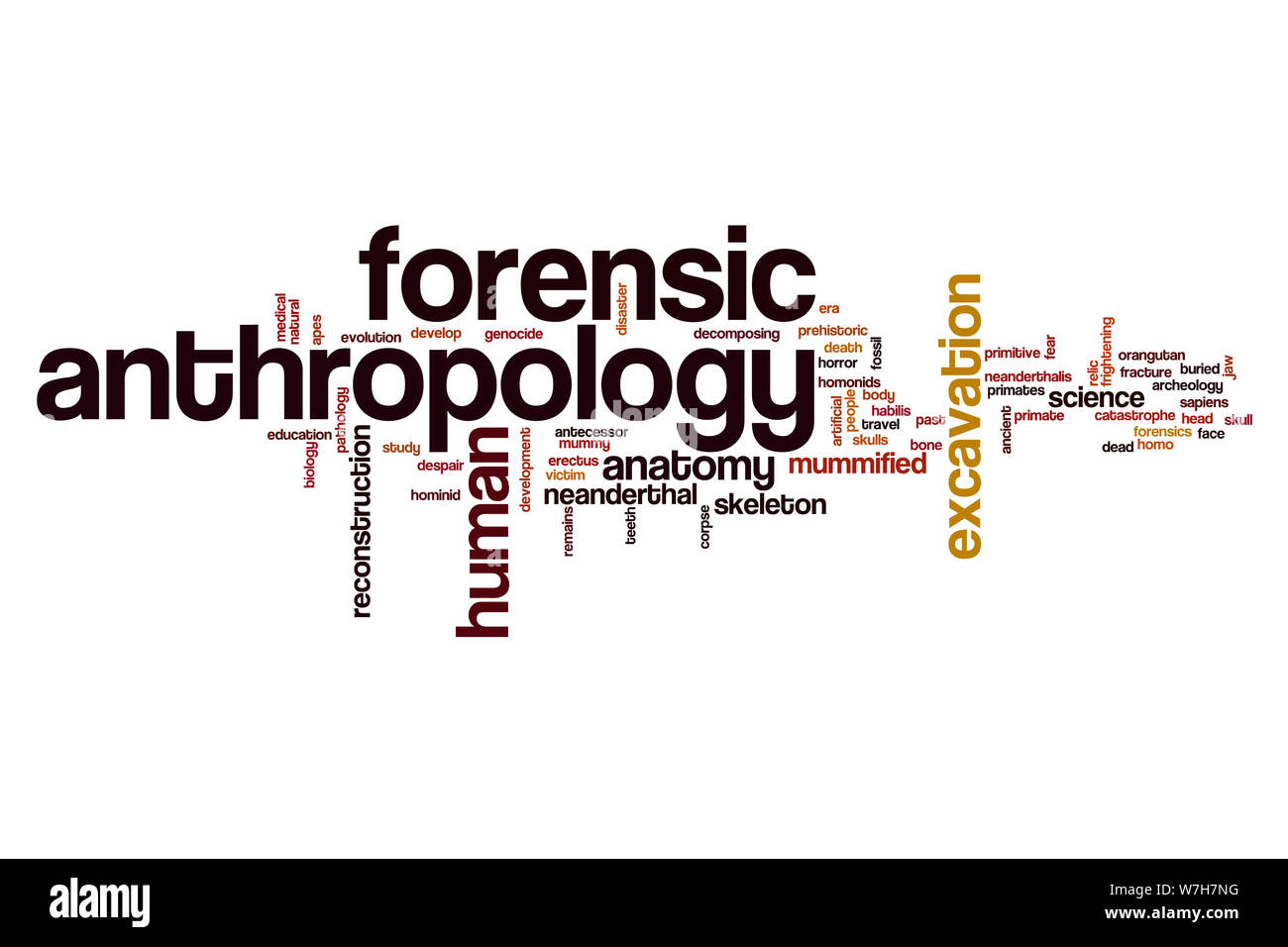 Forensic anthropology hi-res stock photography and images - Alamy