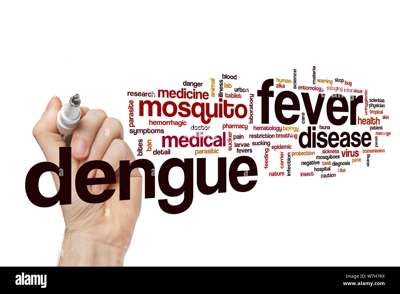Dengue fever word cloud Stock Photo - Alamy