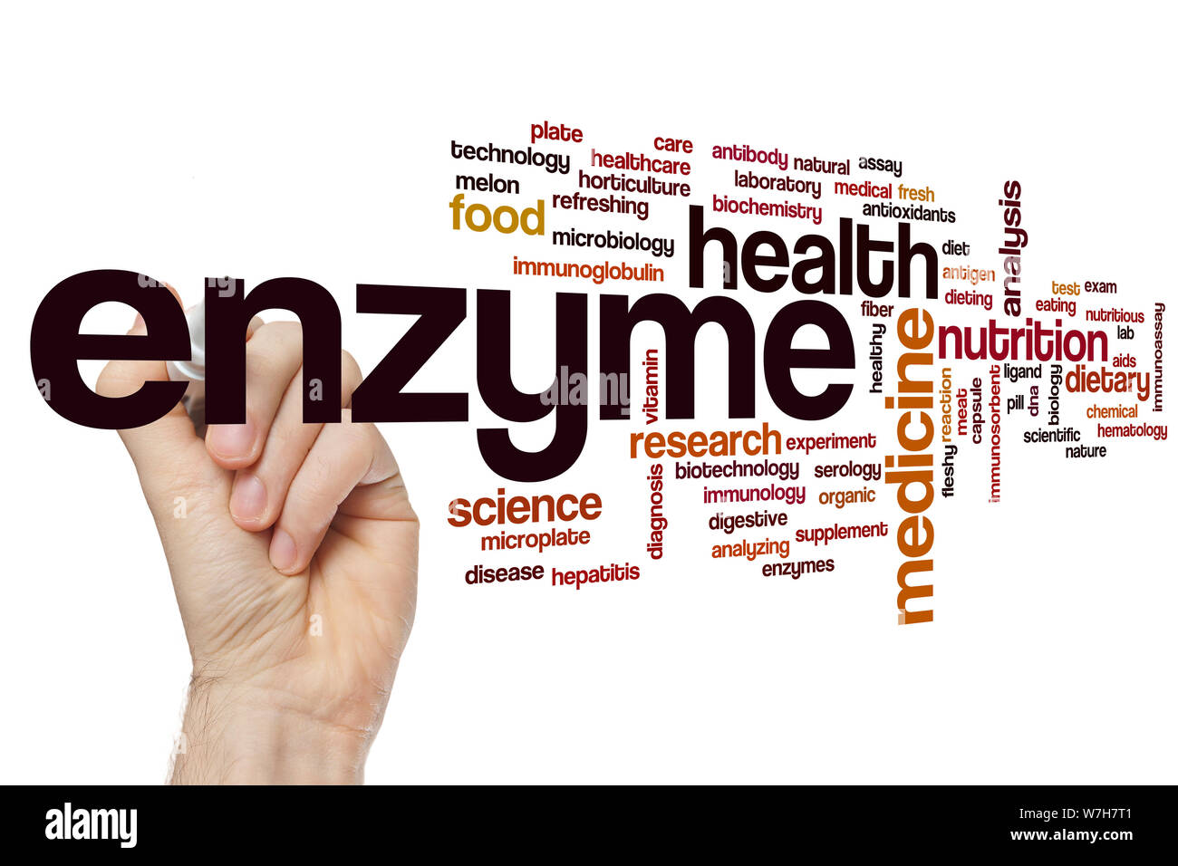 Enzyme word cloud concept Stock Photo - Alamy