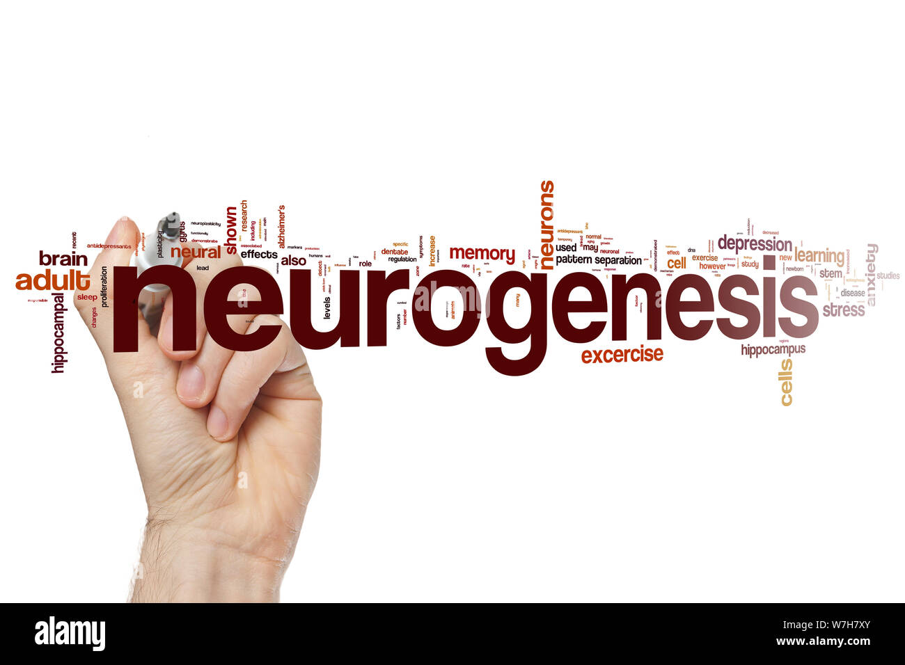 Name word cloud Stock Photo - Alamy