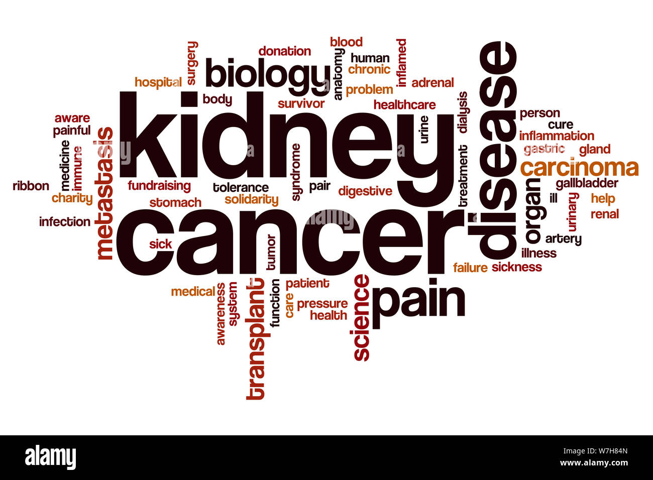Kidney cancer word cloud concept Stock Photo - Alamy