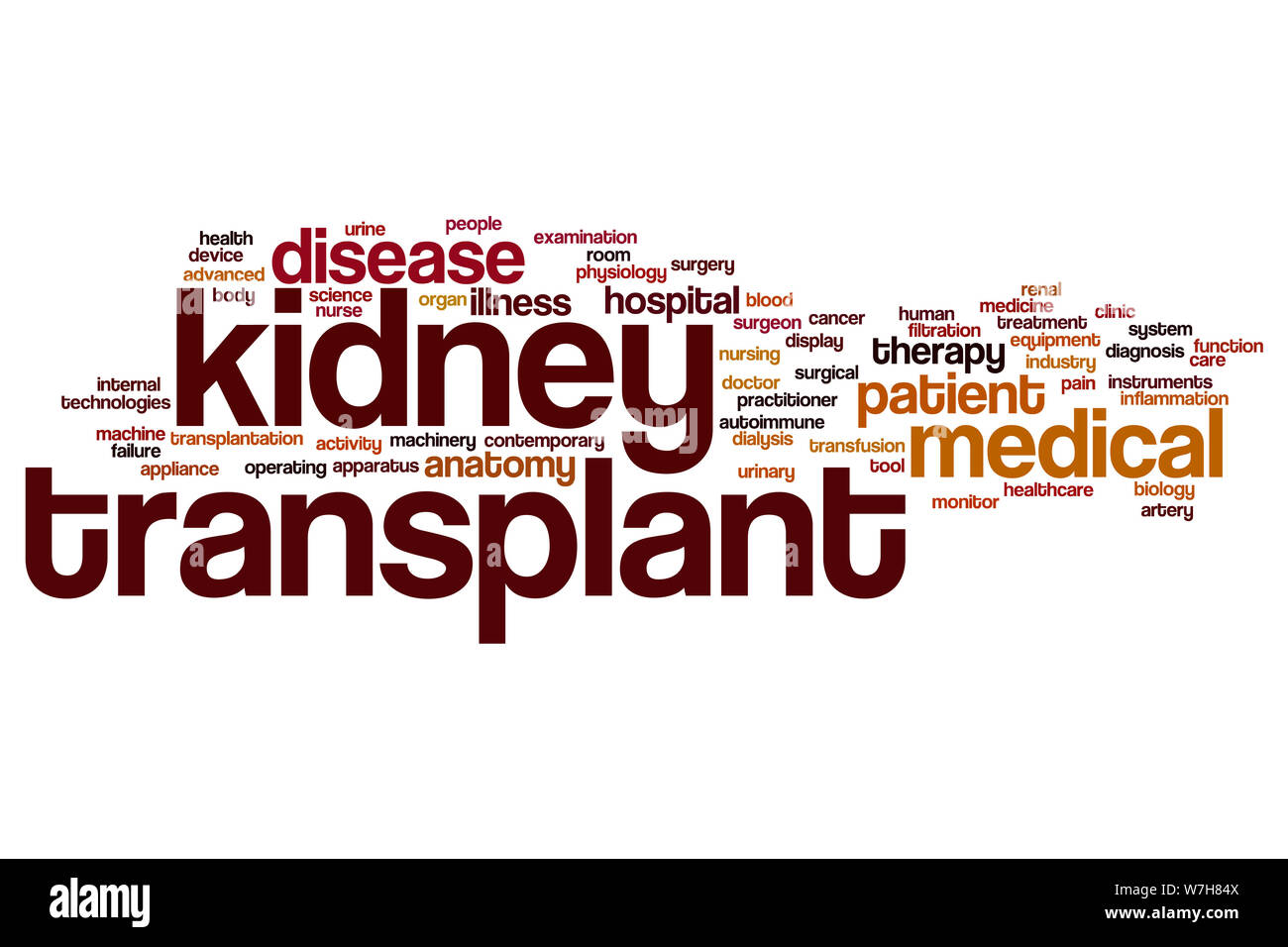 Kidney transplant word cloud concept Stock Photo - Alamy