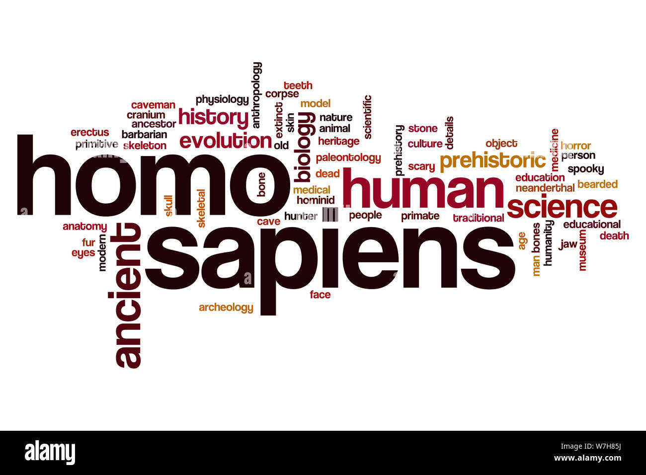 Homo sapiens word cloud concept Stock Photo - Alamy