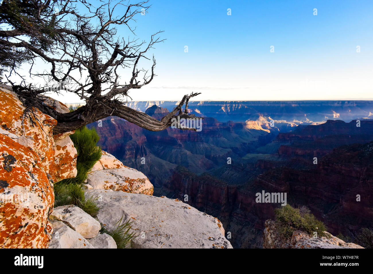 Grand Canyon, North Rim, Utah, USA Stock Photo - Alamy