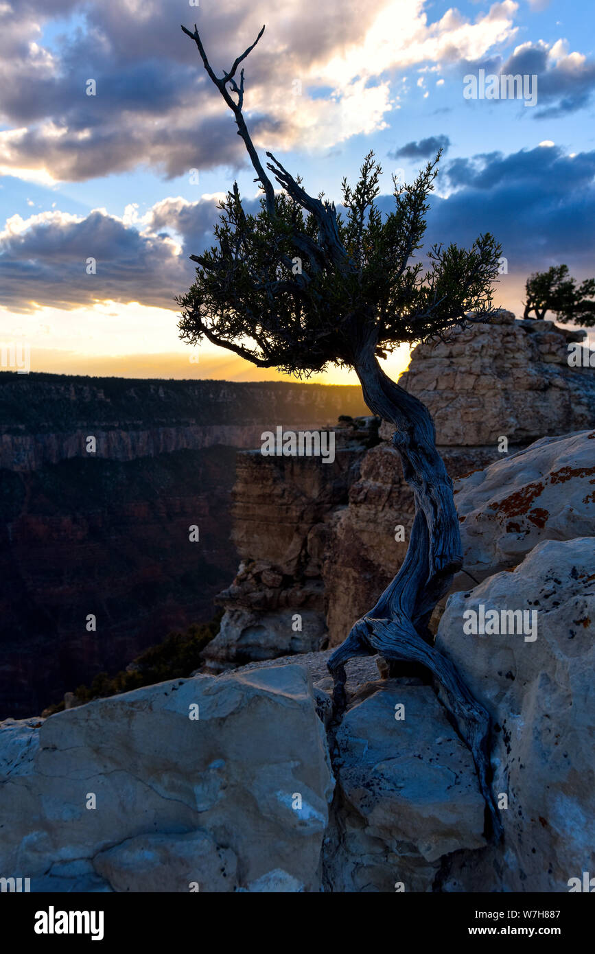 Grand canyon north rim sun hi-res stock photography and images - Alamy