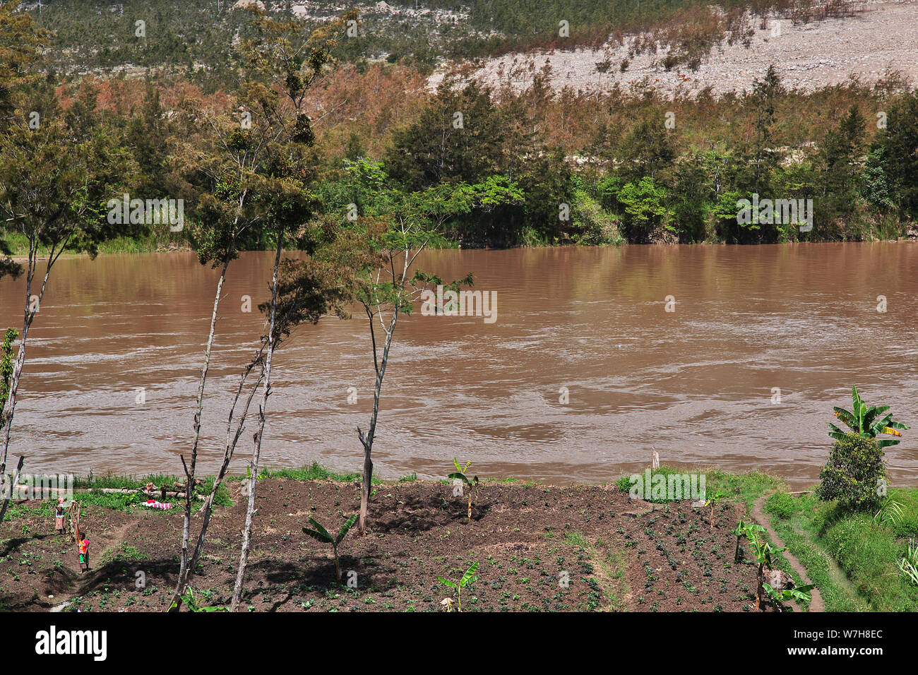 The river in valley of Wamena, Papua Stock Photo - Alamy