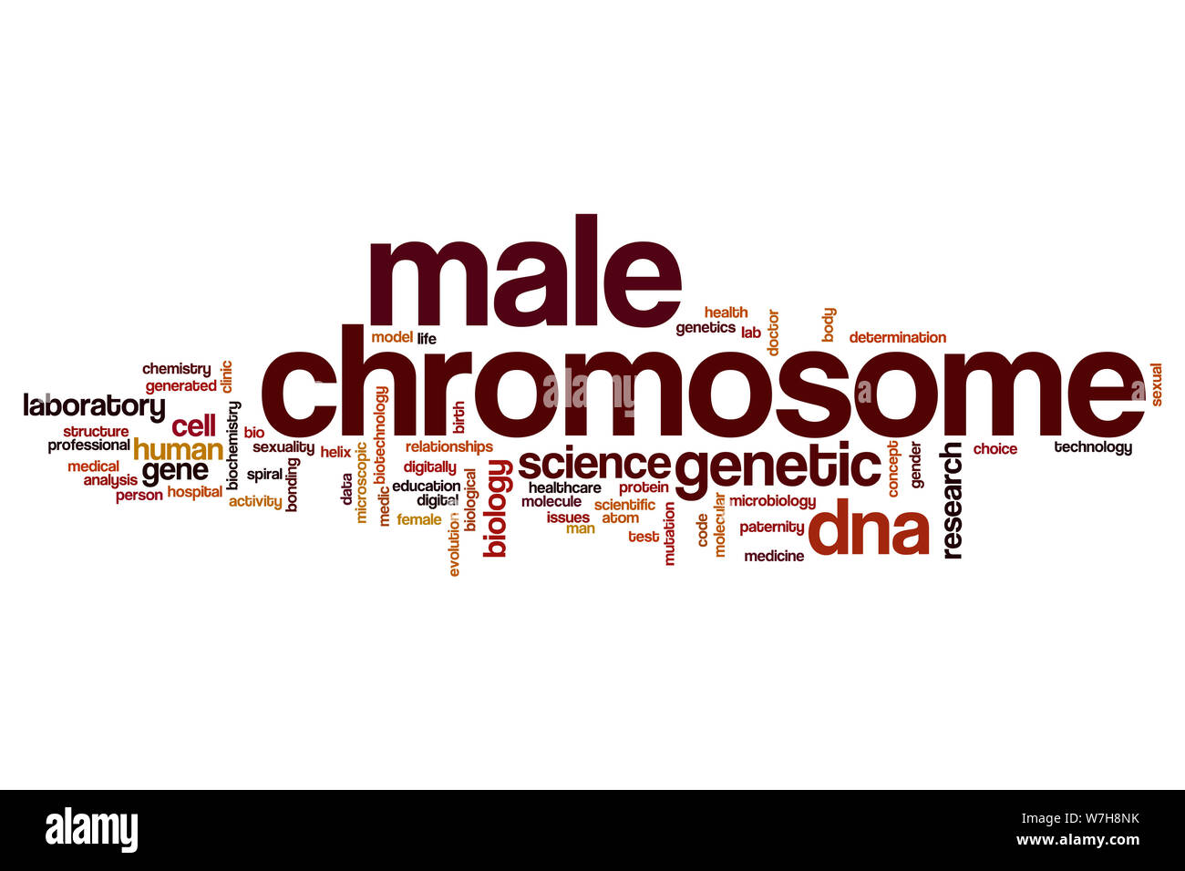 Male chromosome word cloud concept Stock Photo - Alamy