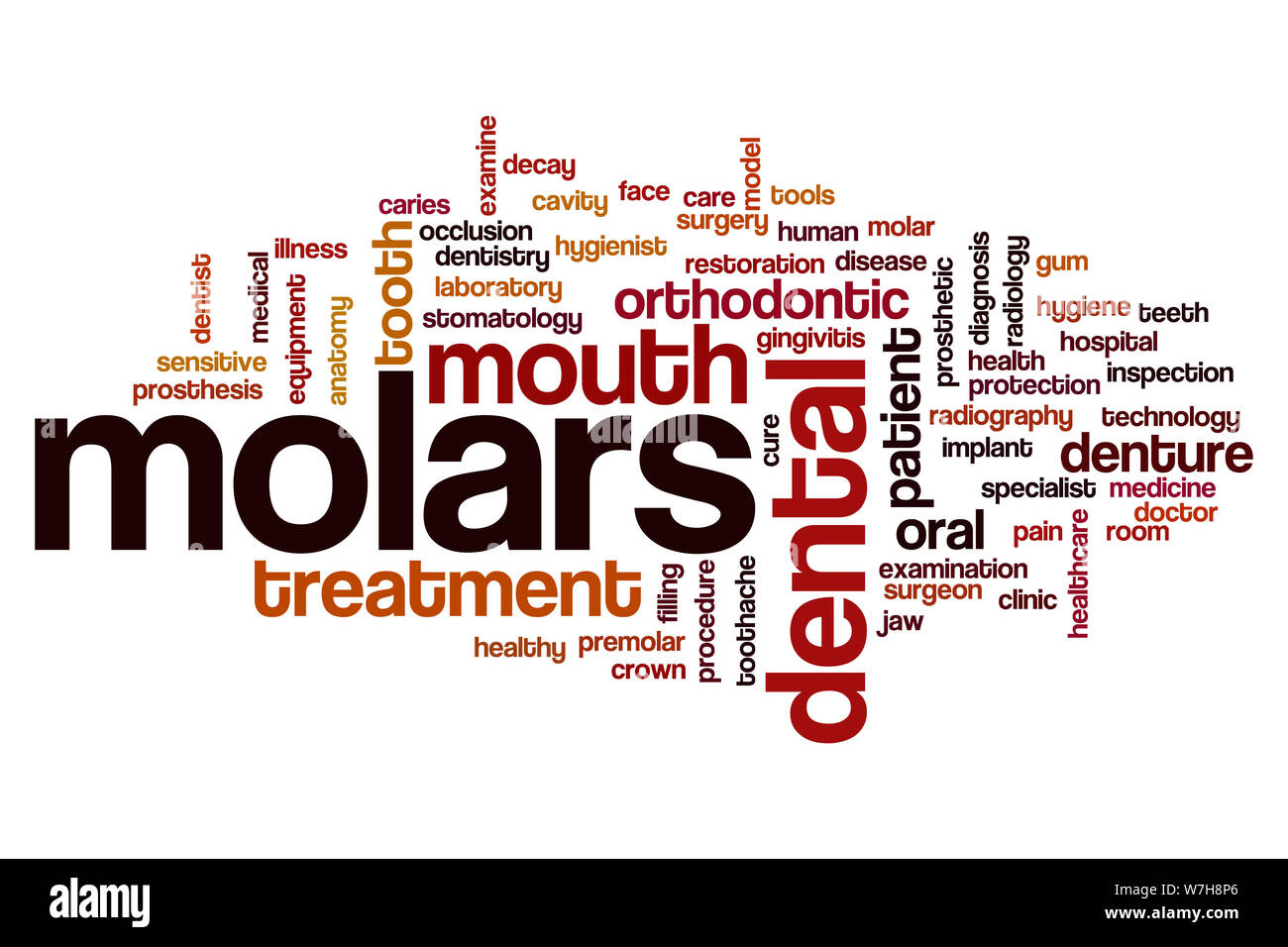 Molars word cloud concept Stock Photo - Alamy