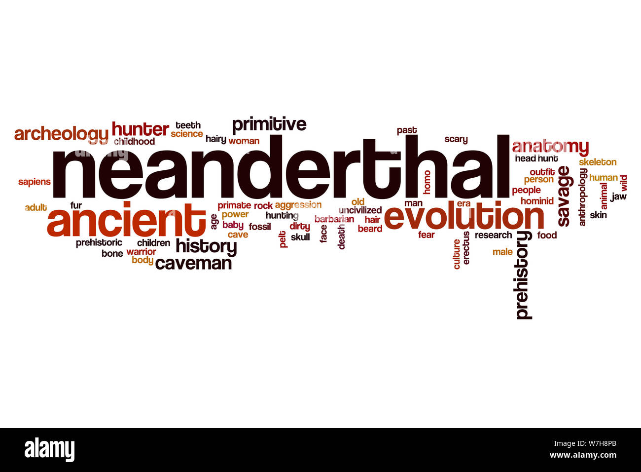 Neanderthal jaw bone hi-res stock photography and images - Alamy